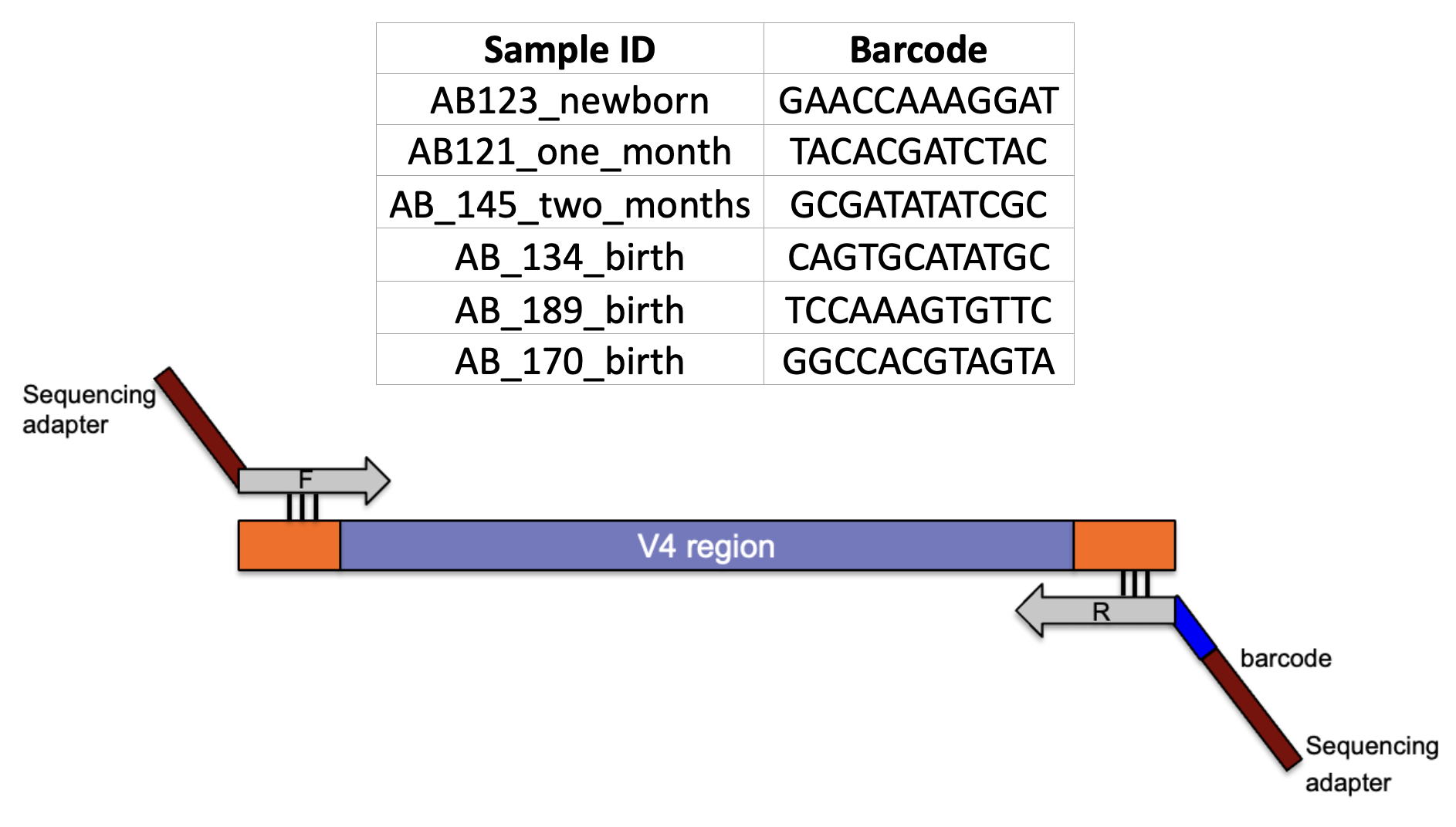 Chapter 6 Community Profiling Part II | Metagenomics Workshop NCGR Chapter 6 Community Profiling Part II | Metagenomics Workshop NCGR