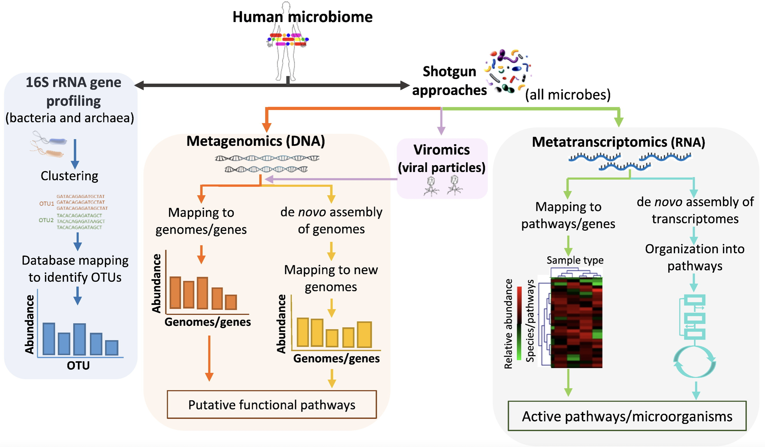 Chapter 2 Metagenomics Overview Metagenomics Workshop Ncgr